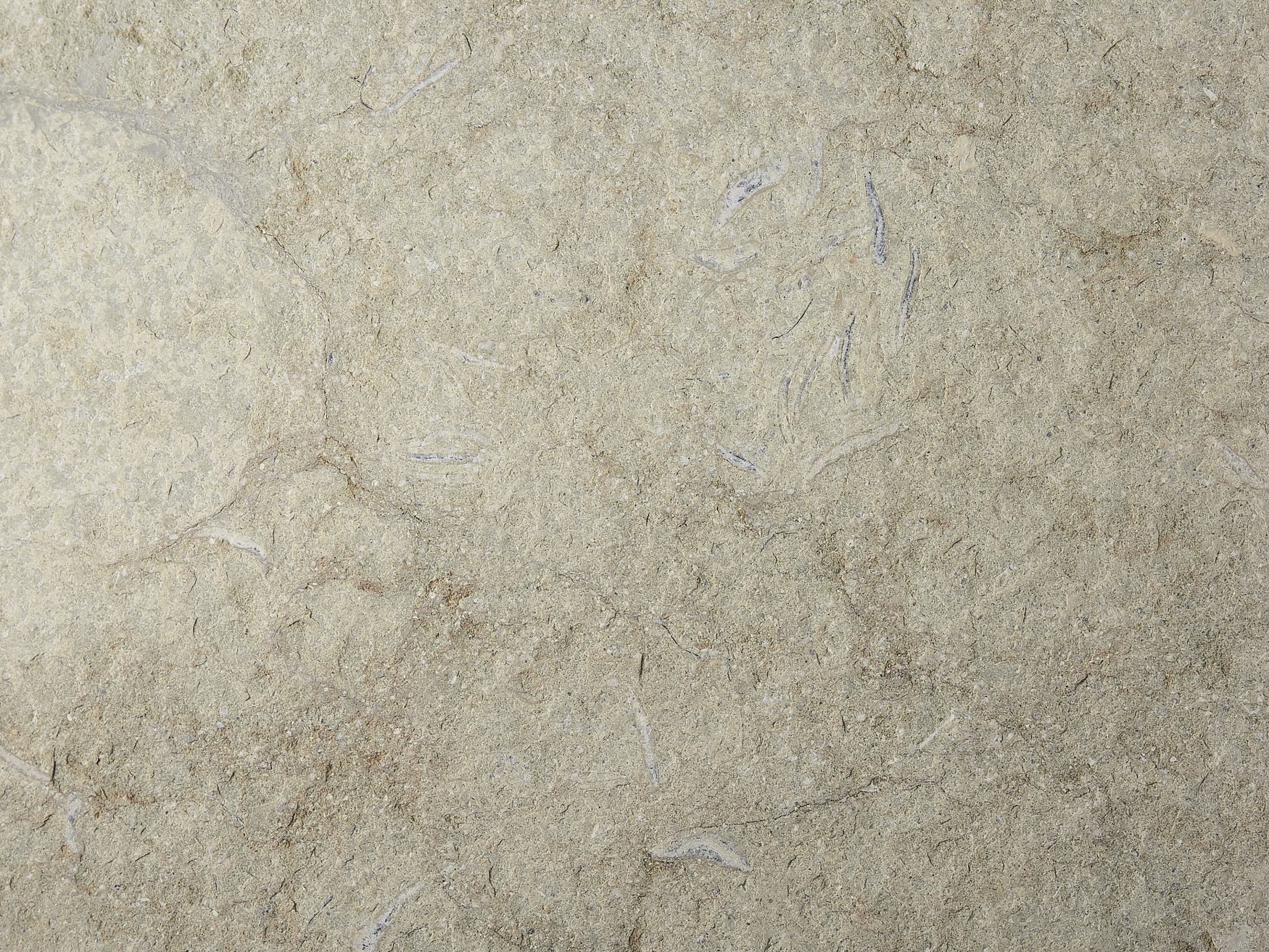 Rustico Limestone Online | Worldstone Solutions